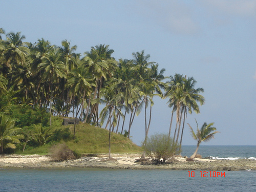 Humane face of Language Documentation: A Great Andamanese Experience ...
